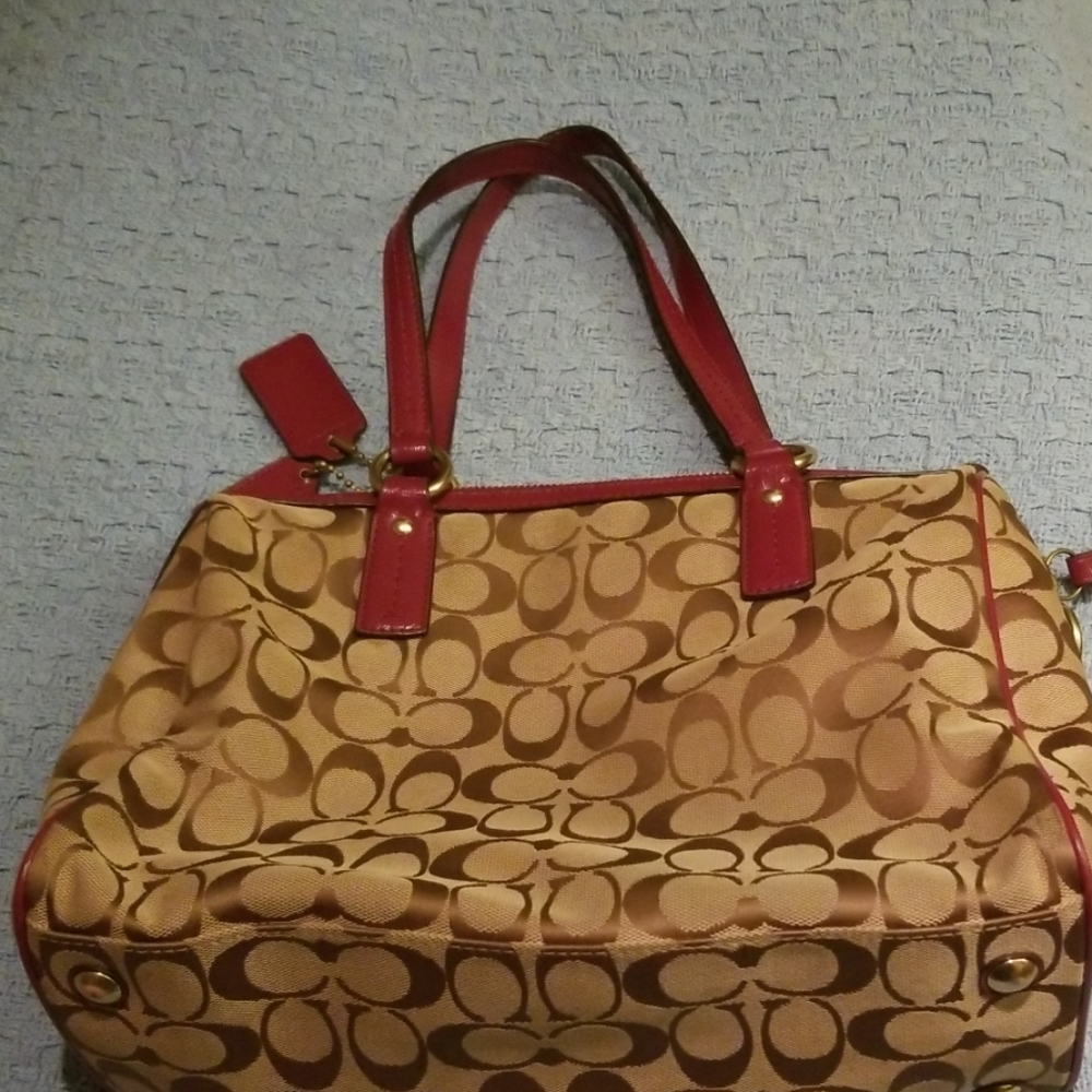 Coach Purse Signature Fabric With Python Stripe - Gem